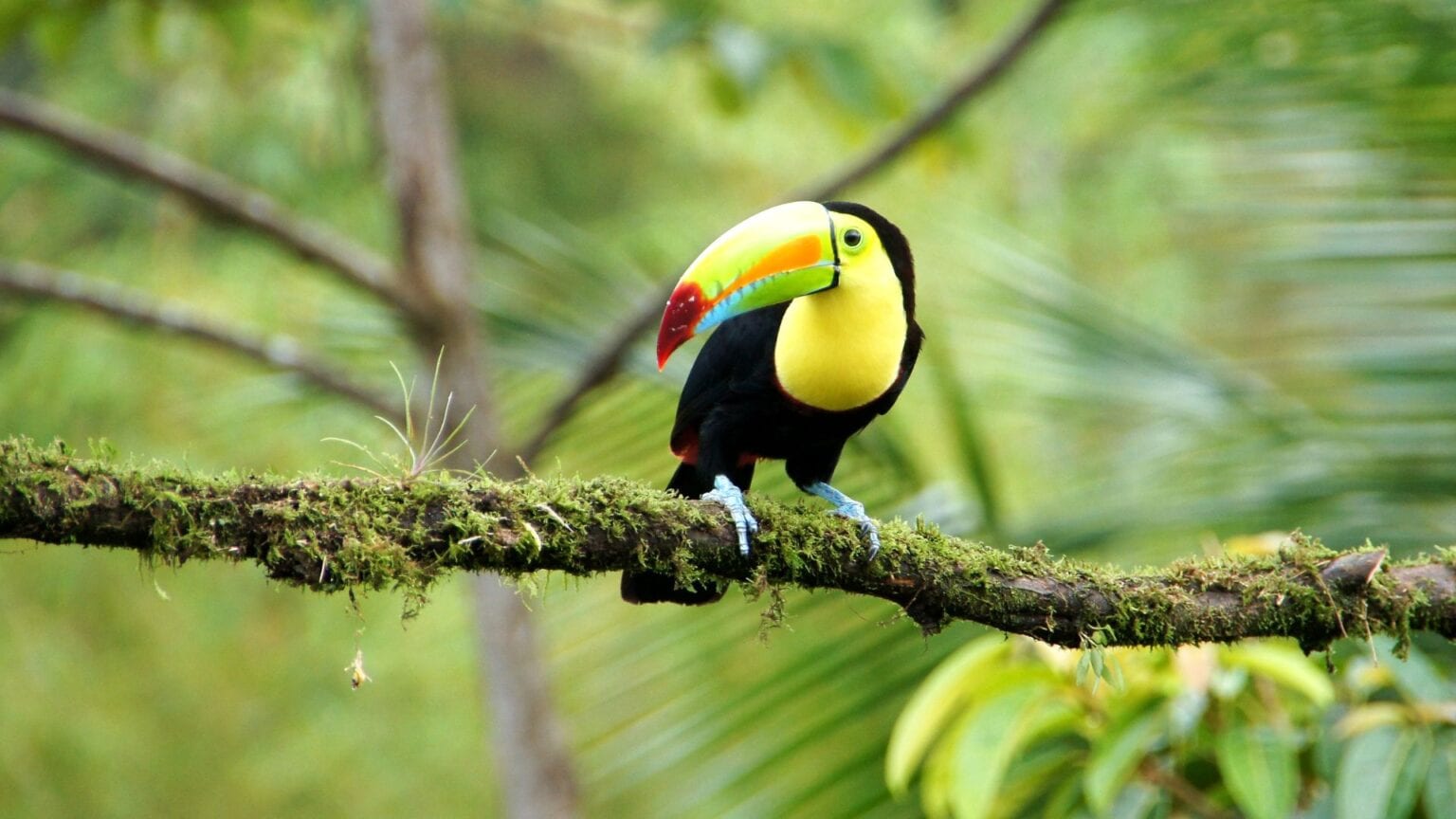 15 Animals People Fear the Most, According to Research – RB Italia Blog