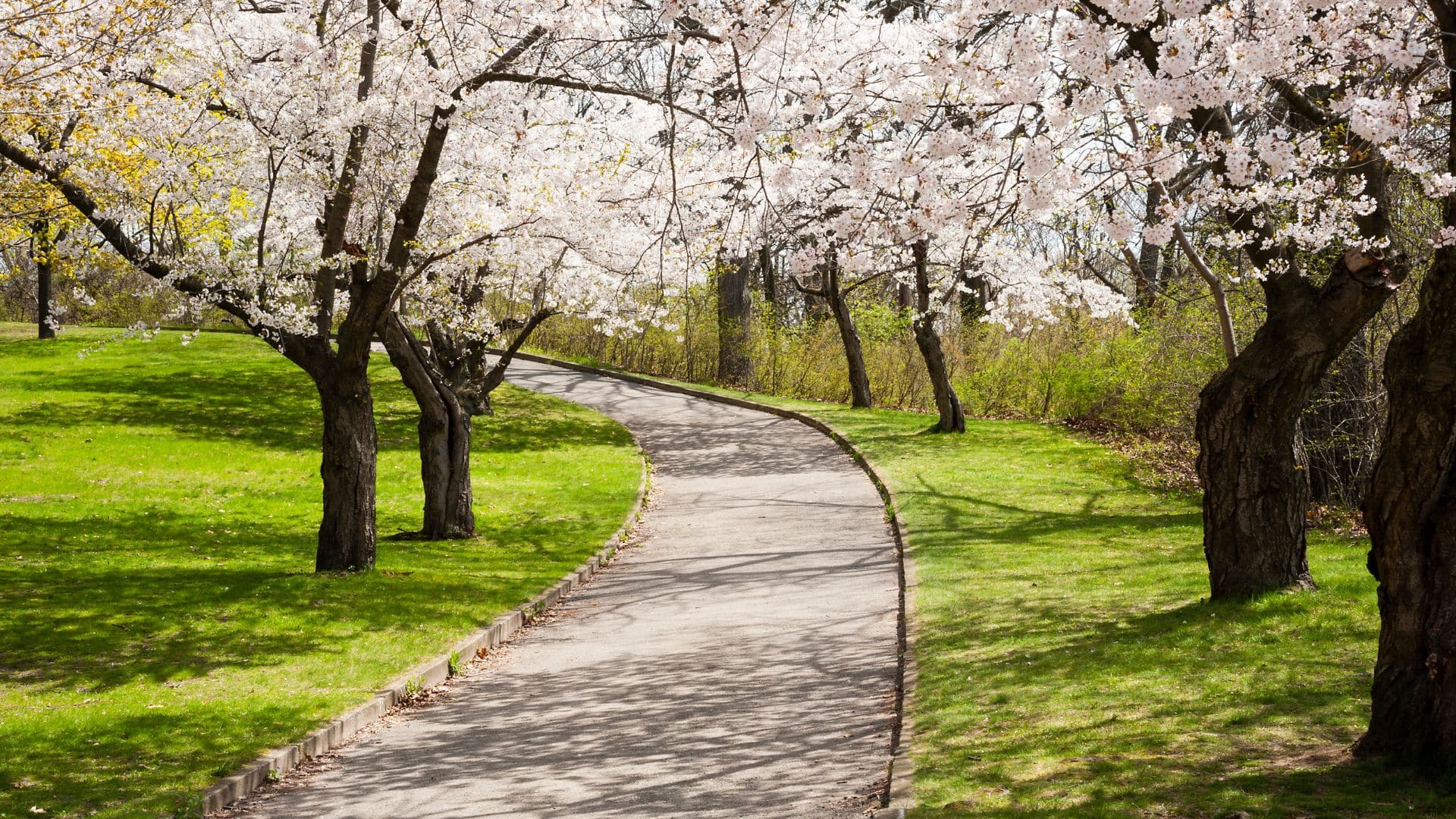 15 Must-See Attractions in Toronto for an Unforgettable Experience – RB ...