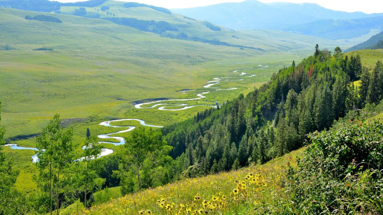 16 Overrated Destinations to Skip on Your Road Trip and Where to Go ...